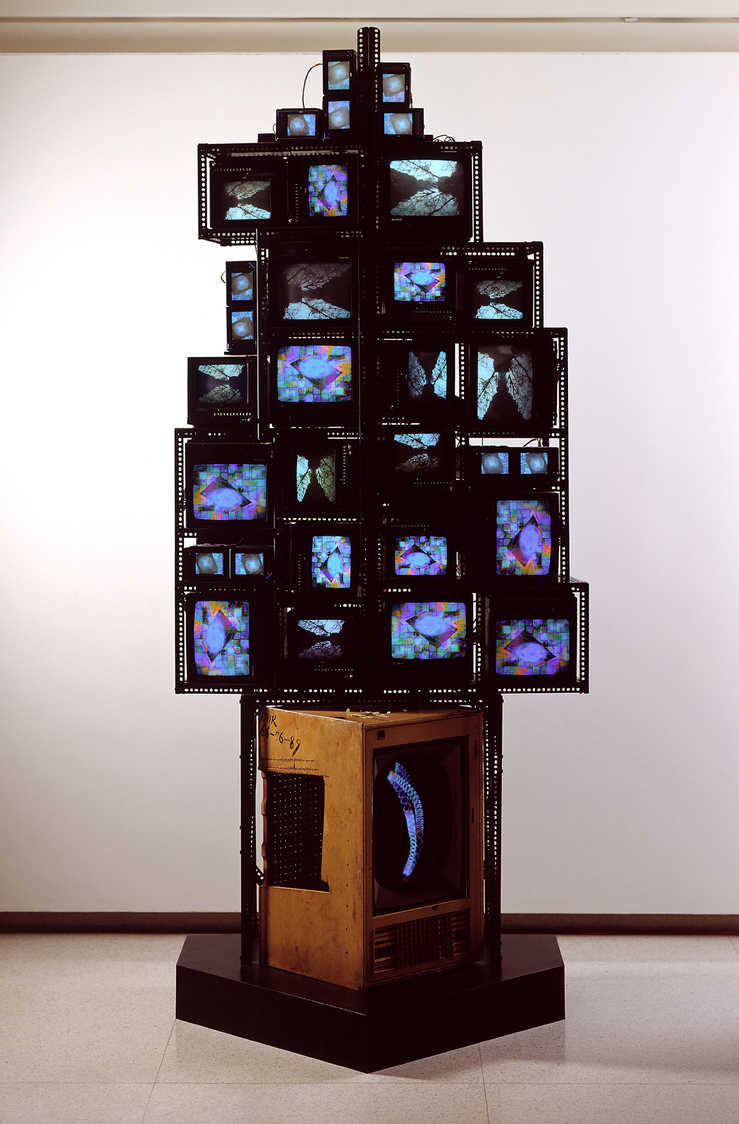 Nam June Paik — Collections — Walker Art Center